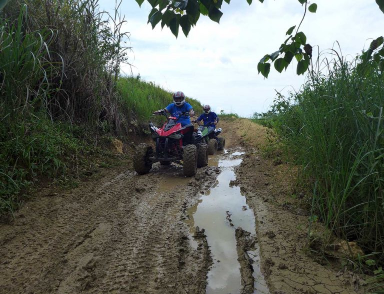 Danasan Eco Adventure Park offers fun, extreme, and nature adventure